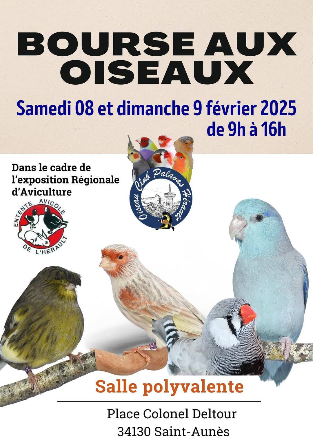 Oiseau Club Palavas Hérault Bourse aux oiseaux 8 et 9 février 2025 Saint Aunés – Oiseau Club ...